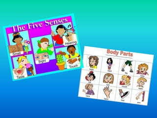 THE FIVE SENSES AND THE PARTS OF THE BODY | PPTX