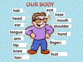 THE FIVE SENSES AND THE PARTS OF THE BODY | PPTX