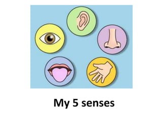 My senses 1 | PPTX