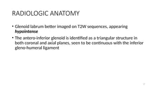 THE RADIOLOGICAL ANATOMY OF THE SHOULDER JOINT AND METHODS OF ...
