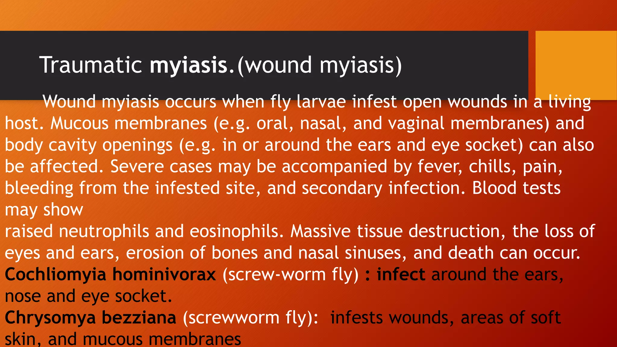 Myiasis ....a parasitic disease. | PPTX