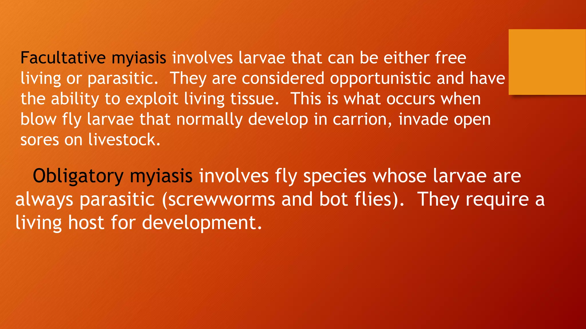 Myiasis ....a parasitic disease. | PPTX