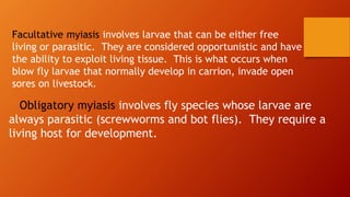 Myiasis ....a parasitic disease. | PPTX