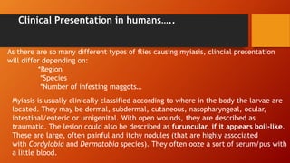 Myiasis ....a parasitic disease. | PPTX