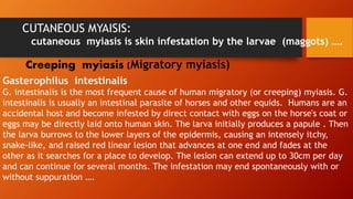 Myiasis ....a parasitic disease. | PPTX