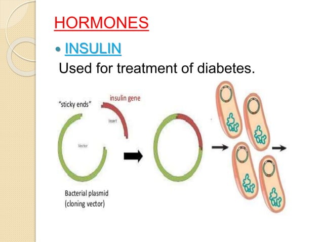 Recombinant DNA Technology and Drug Discovery | PPTX | Biotech and ...