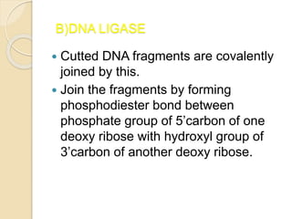 Recombinant DNA Technology and Drug Discovery | PPTX