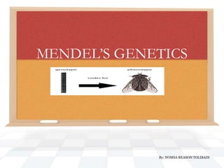 Mendel's genetics | PPTX