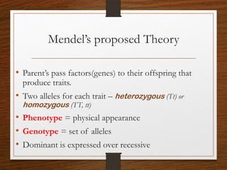 Mendel's genetics | PPTX