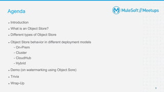 Learn More About Object Store | MuleSoft Mysore Meetup #9 | PPTX