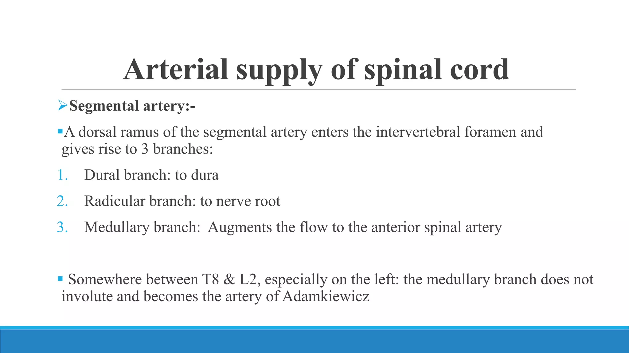 spinal angiography with spnal av anomalies | PPTX