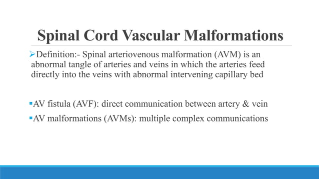 spinal angiography with spnal av anomalies | PPTX