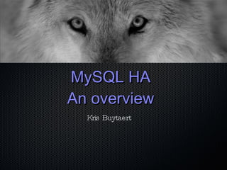 MySQL HA Alternatives 2010 | PPT
