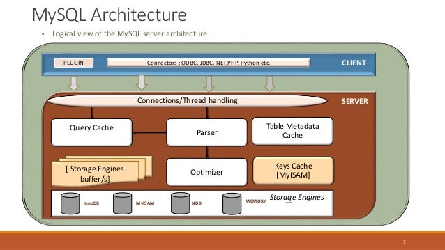 MySQL database