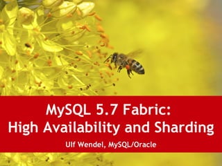 MySQL 5.7 Fabric: Introduction to High Availability and Sharding | PPT