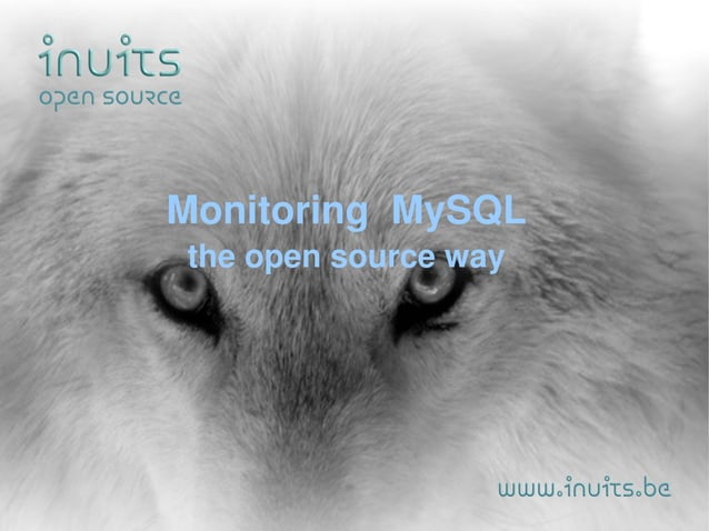 MySQL Monitoring Shoot Out | ODP | Databases | Computer Software and Applications