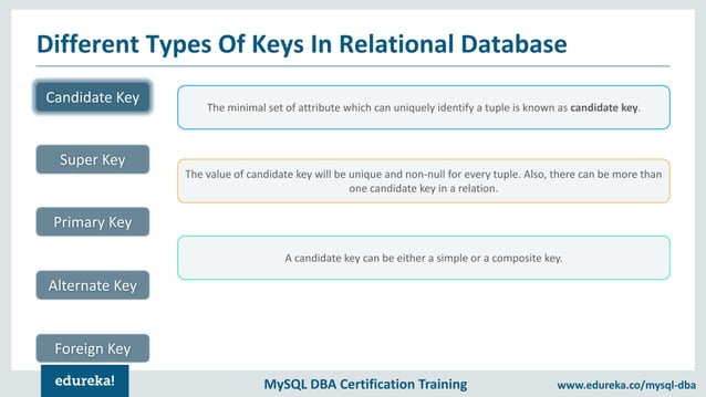 MySQL Tutorial For Beginners | Relational Database Management System ...