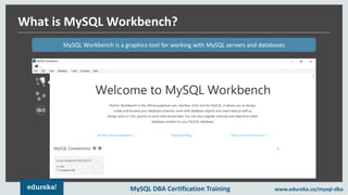 MySQL Workbench Tutorial | Introduction To MySQL Workbench | MySQL DBA ...