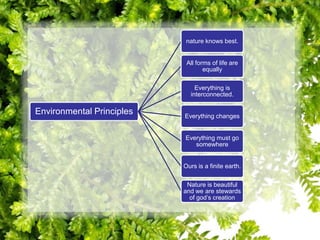 Environmental education | PPTX