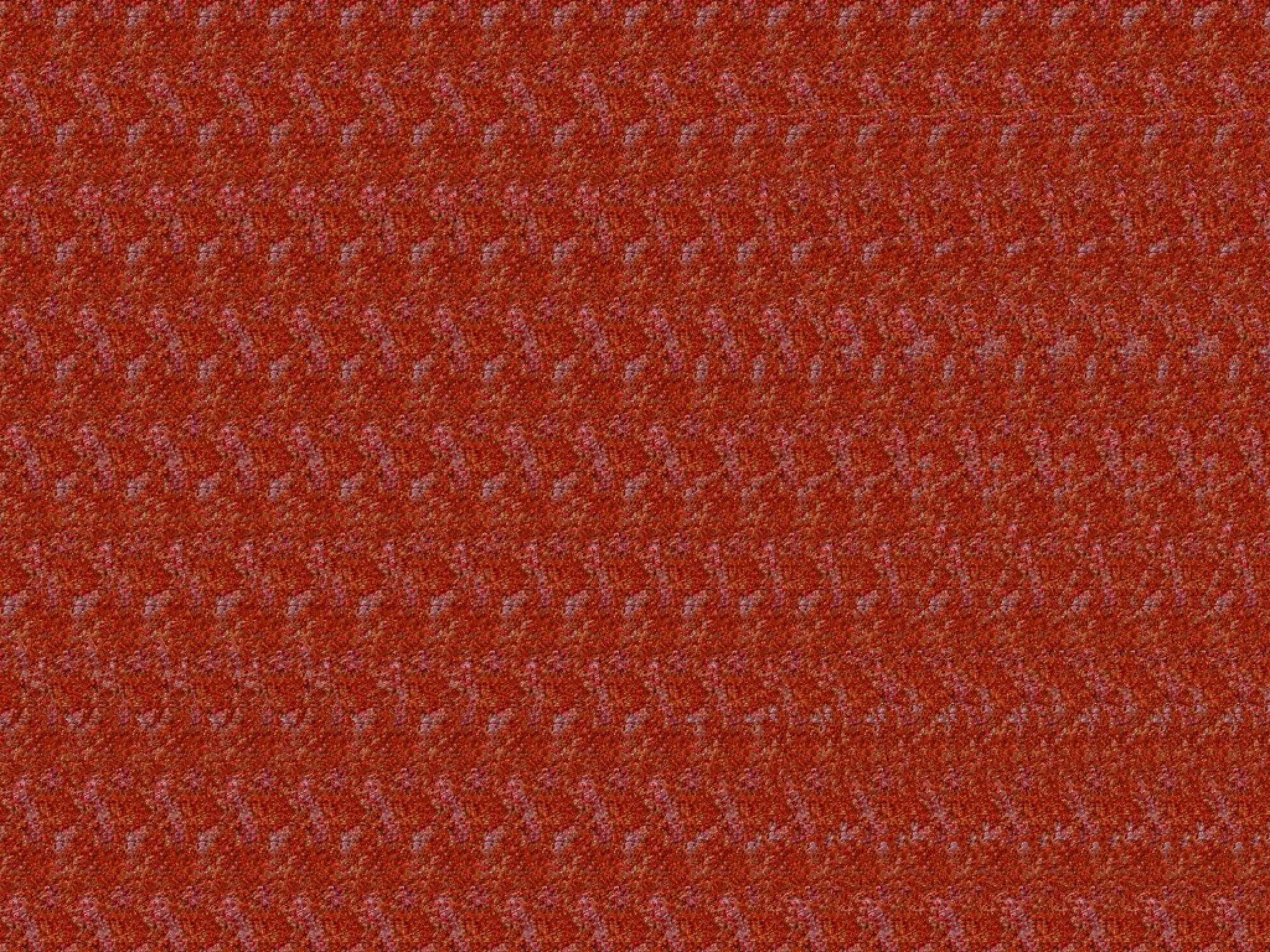 My Stereograms | PPT