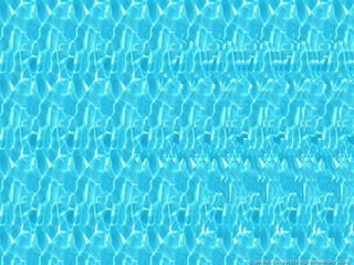 My Stereograms | PPT