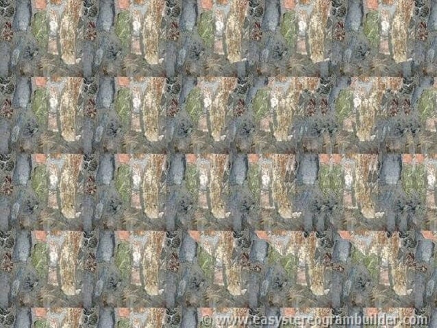 My Stereograms | PPT