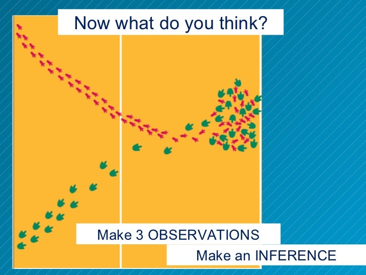Mystery Footprints Observation Inference Isn