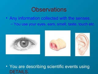 Mystery footprints observationinference_9.12.12.pp