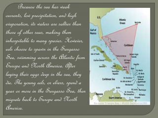 Mystery of bermuda triangle | PPT