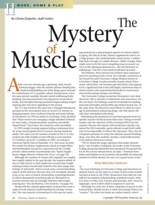Mystery+of+muscles | PDF | Biological Sciences | Science