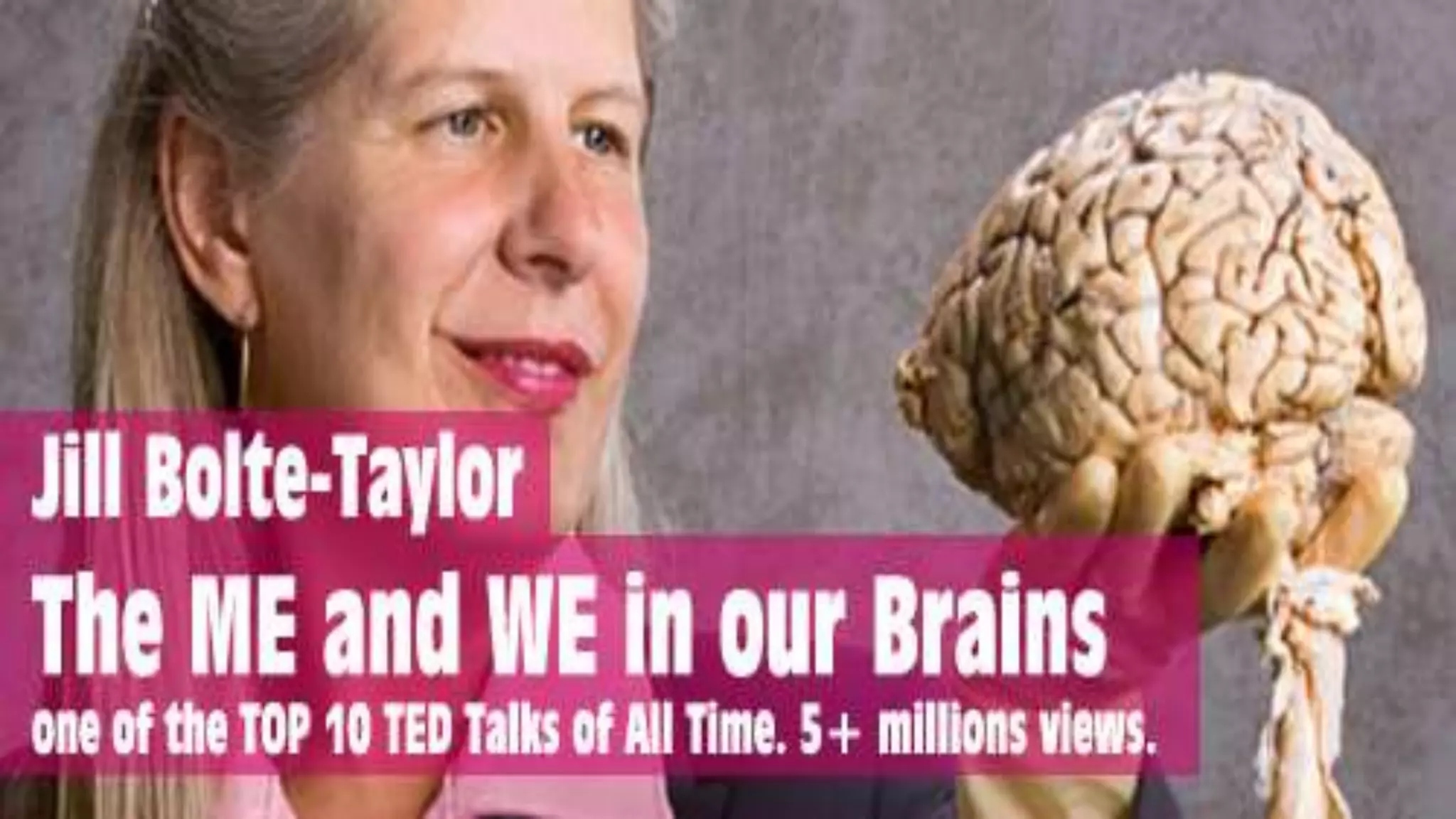 My stroke of insight Tedx talk by jill taylor | PPTX