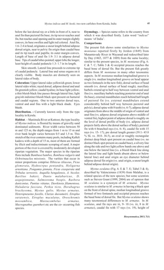 Mystus heoki & m. indicus two new fish species | PDF