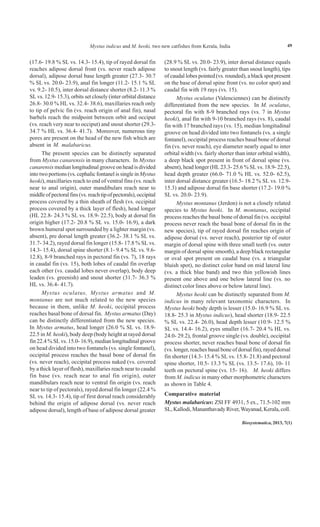 Mystus heoki & m. indicus two new fish species | PDF