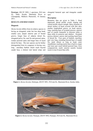 Mystus keralai,a new fish species | PDF