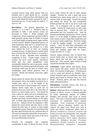 Mystus menoni, a new species | PDF