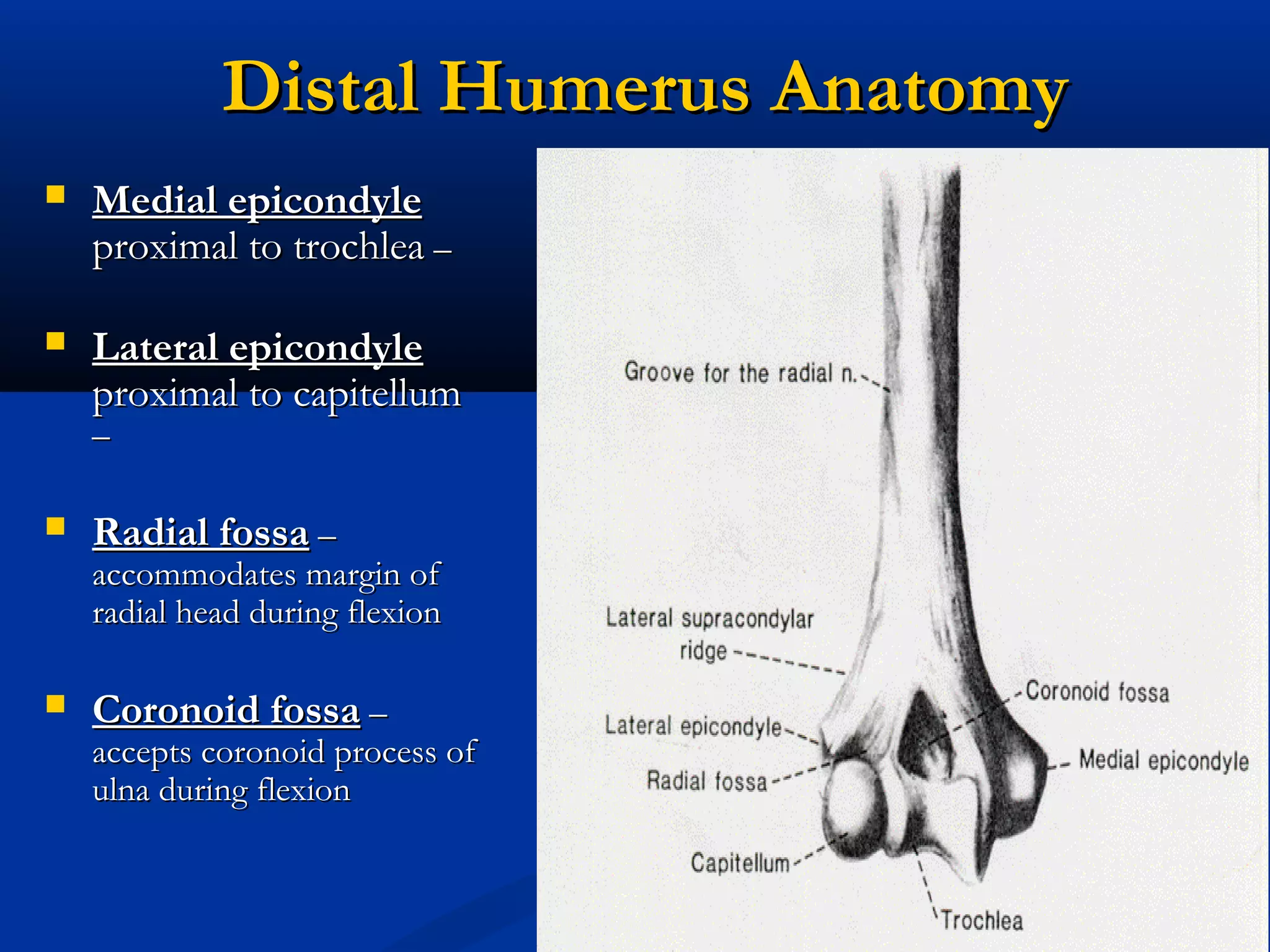 supracondylar fracture humerus in children | PPT