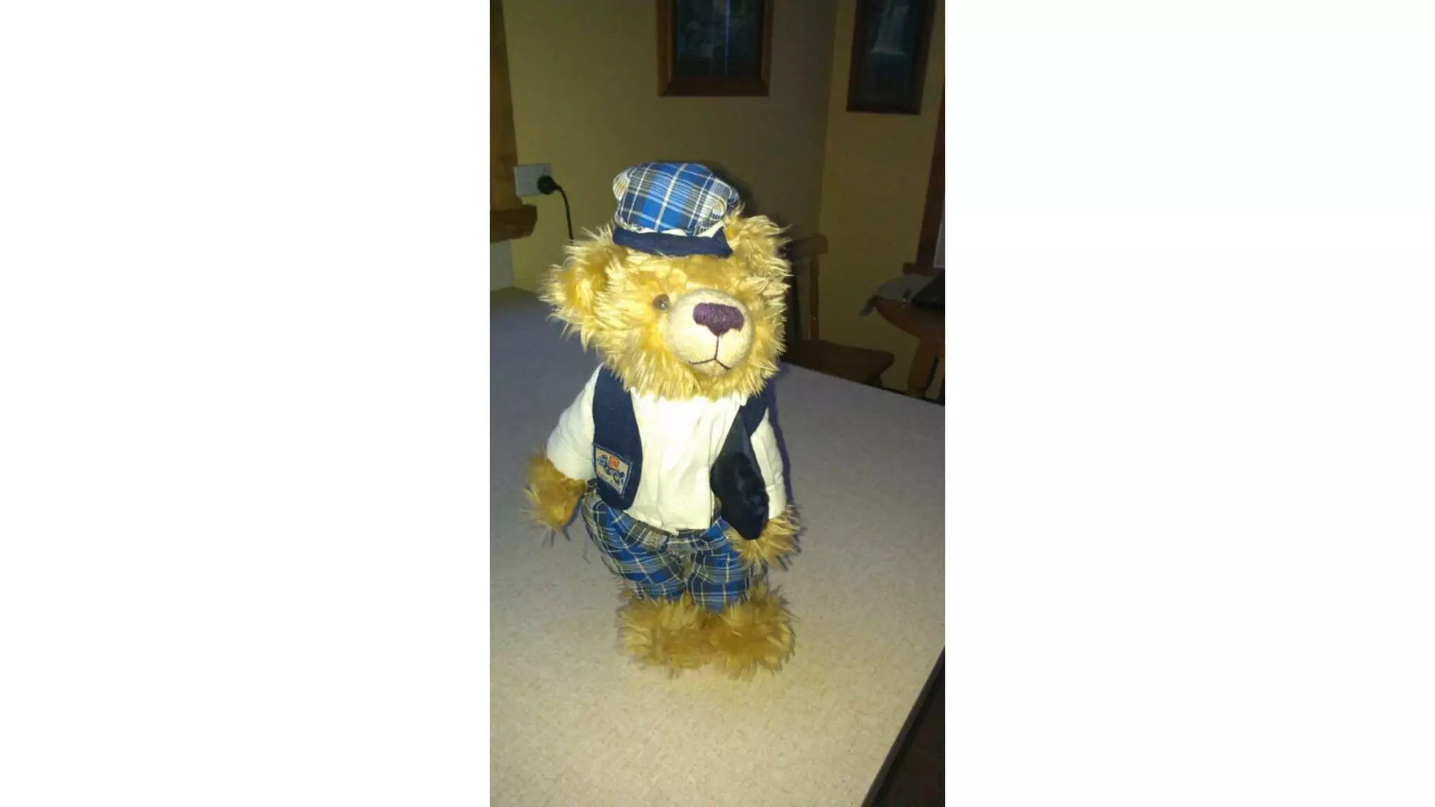 My teddy bears | PPTX