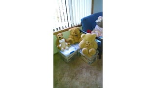 My teddy bears | PPTX