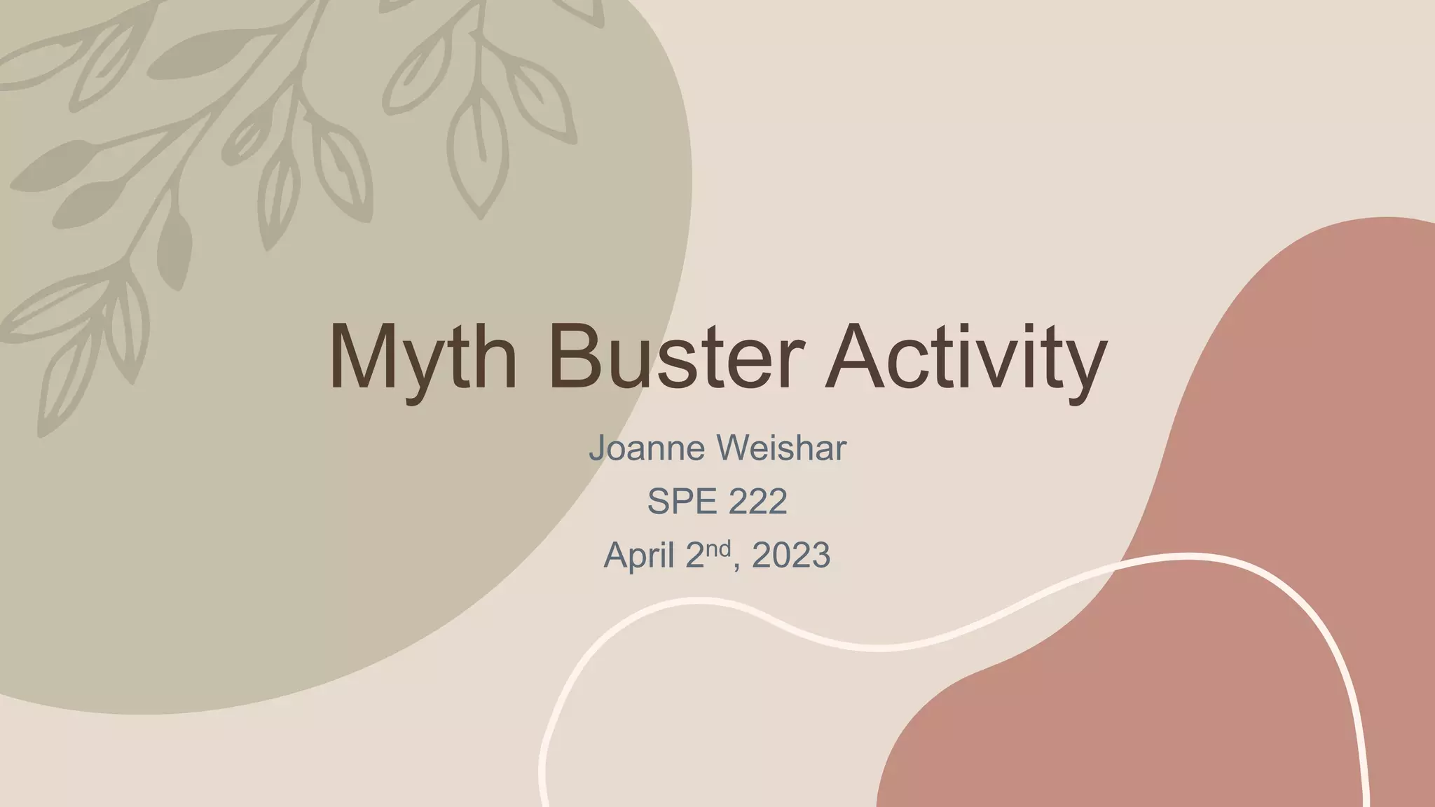 Myth Buster Activity.pptx