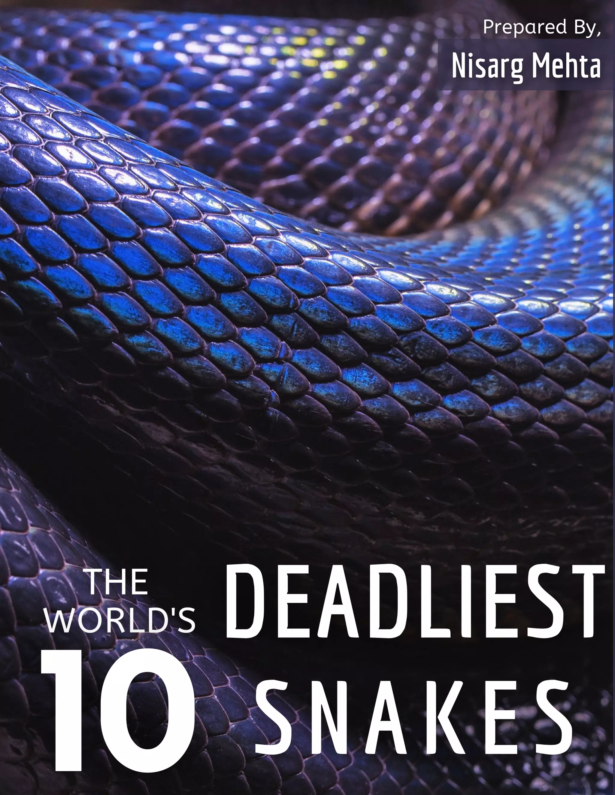 The World's Top 10 Deadliest Snakes 2020-2021 | PDF