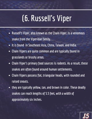 The World's Top 10 Deadliest Snakes 2020-2021 | PDF