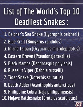 The World's Top 10 Deadliest Snakes 2020-2021 | PDF