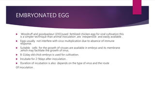 cultivation of virus | PPT