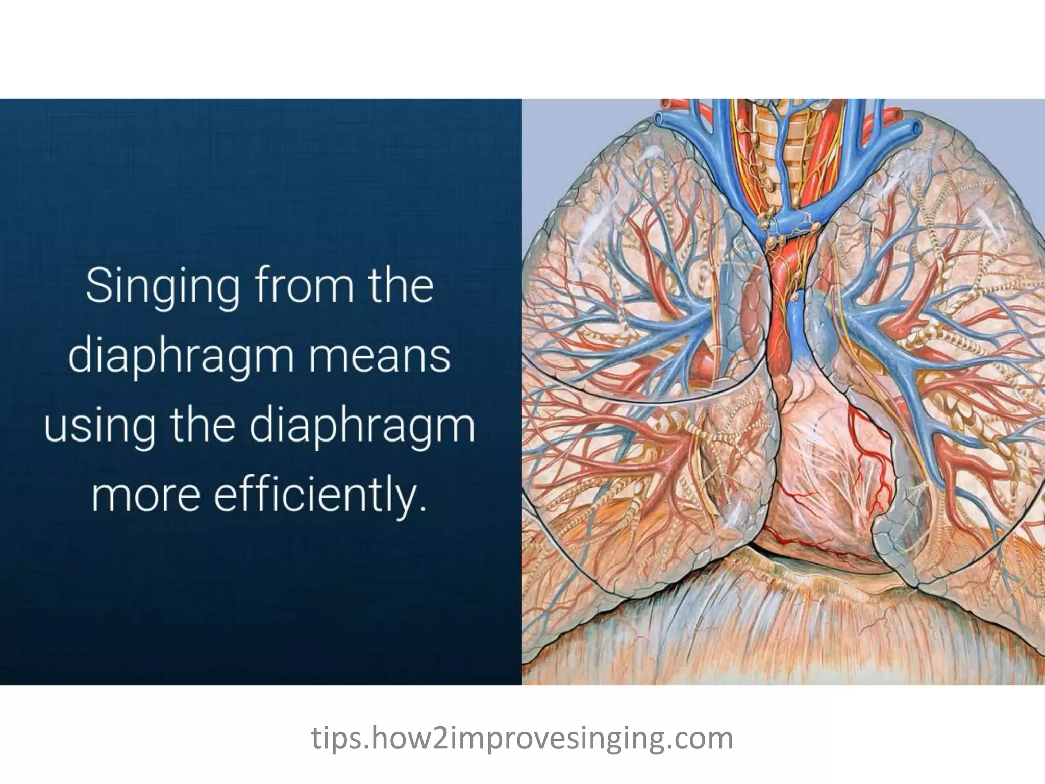 Myths about Breathing for Singing | PPT