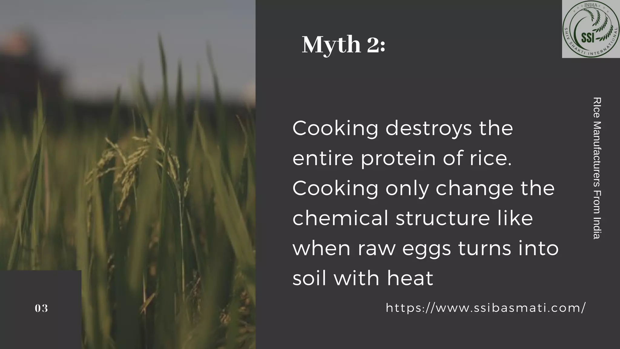 Myths about rice protein | PDF