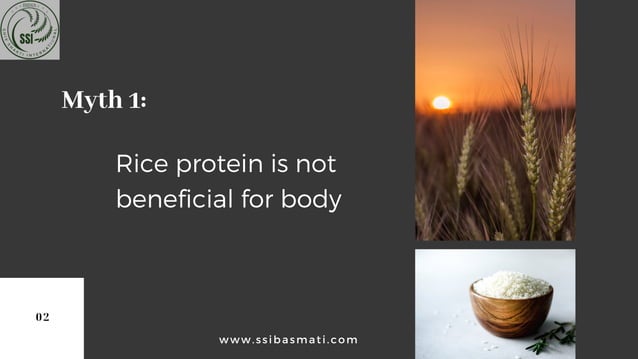 Myths about rice protein | PPT