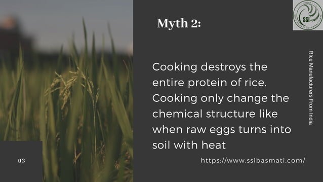 Myths about rice protein | PPT
