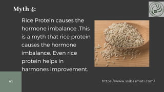 Myths about rice protein | PDF