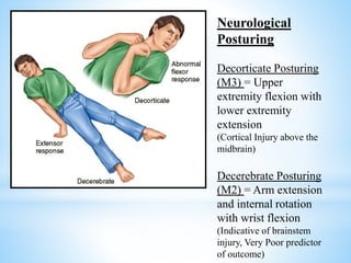Abnormal Posturing Brain Injury