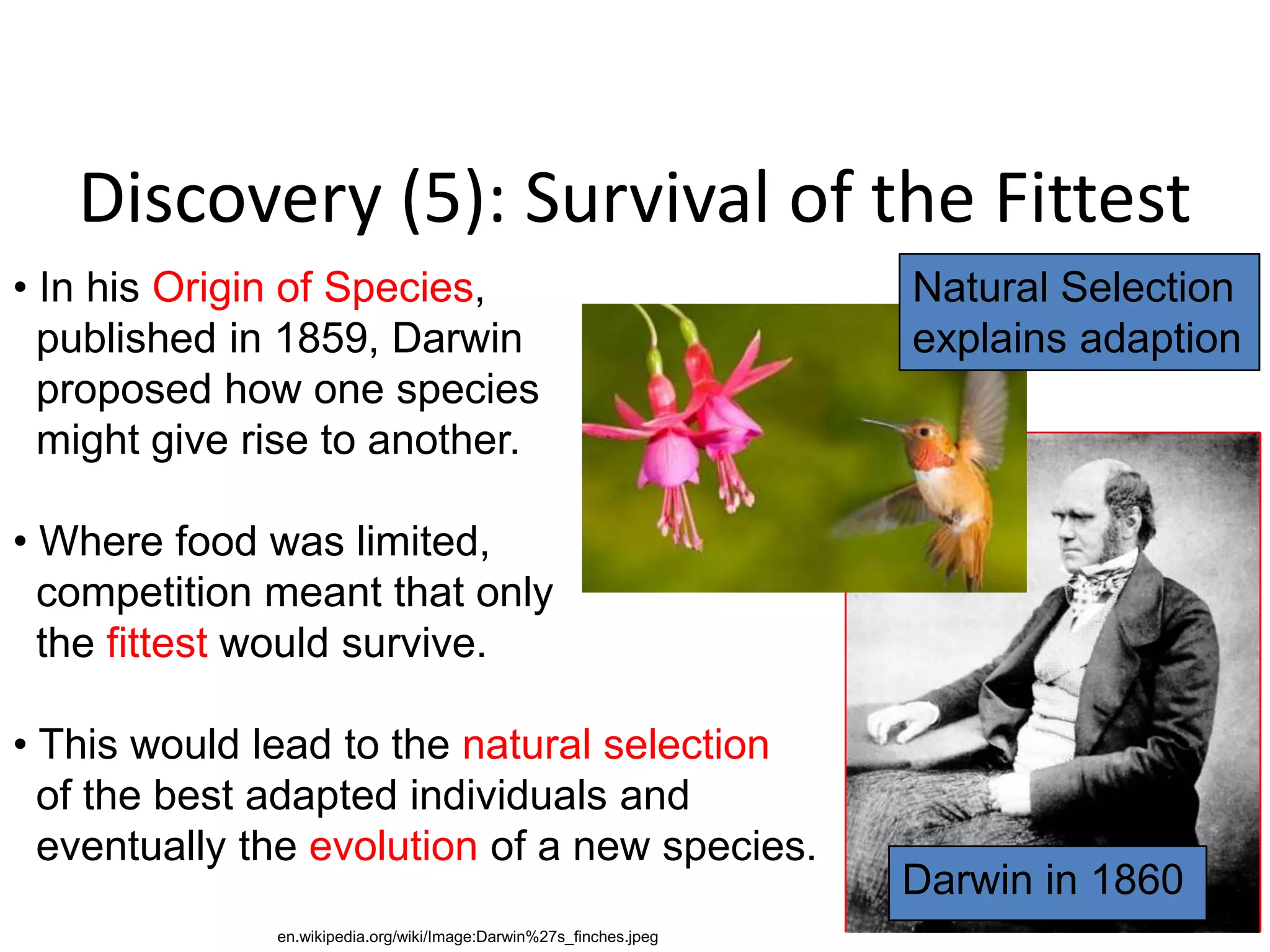 Evolution and Biodiversity,Genetics,Digestive System,Ecosystem | PPT